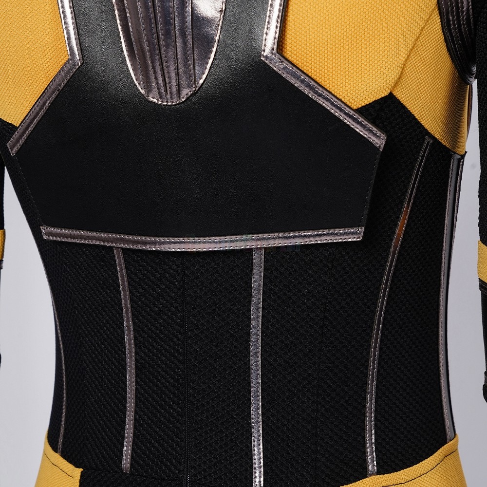 Ant-Man and The Wasp Quantumania The Wasp Hope van Dyne Cosplay ...
